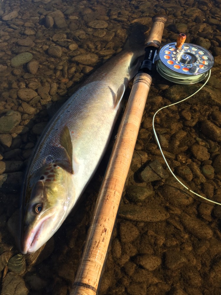 Fishing The Annan – Annan Guiding