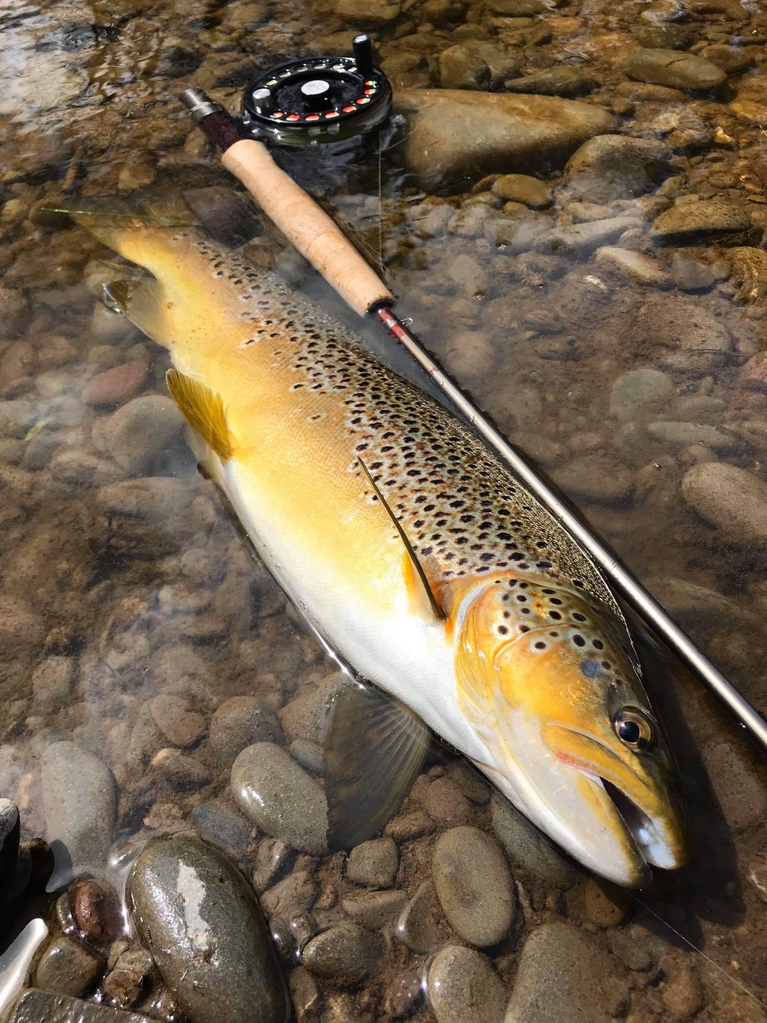 Fishing The Annan – Annan Guiding
