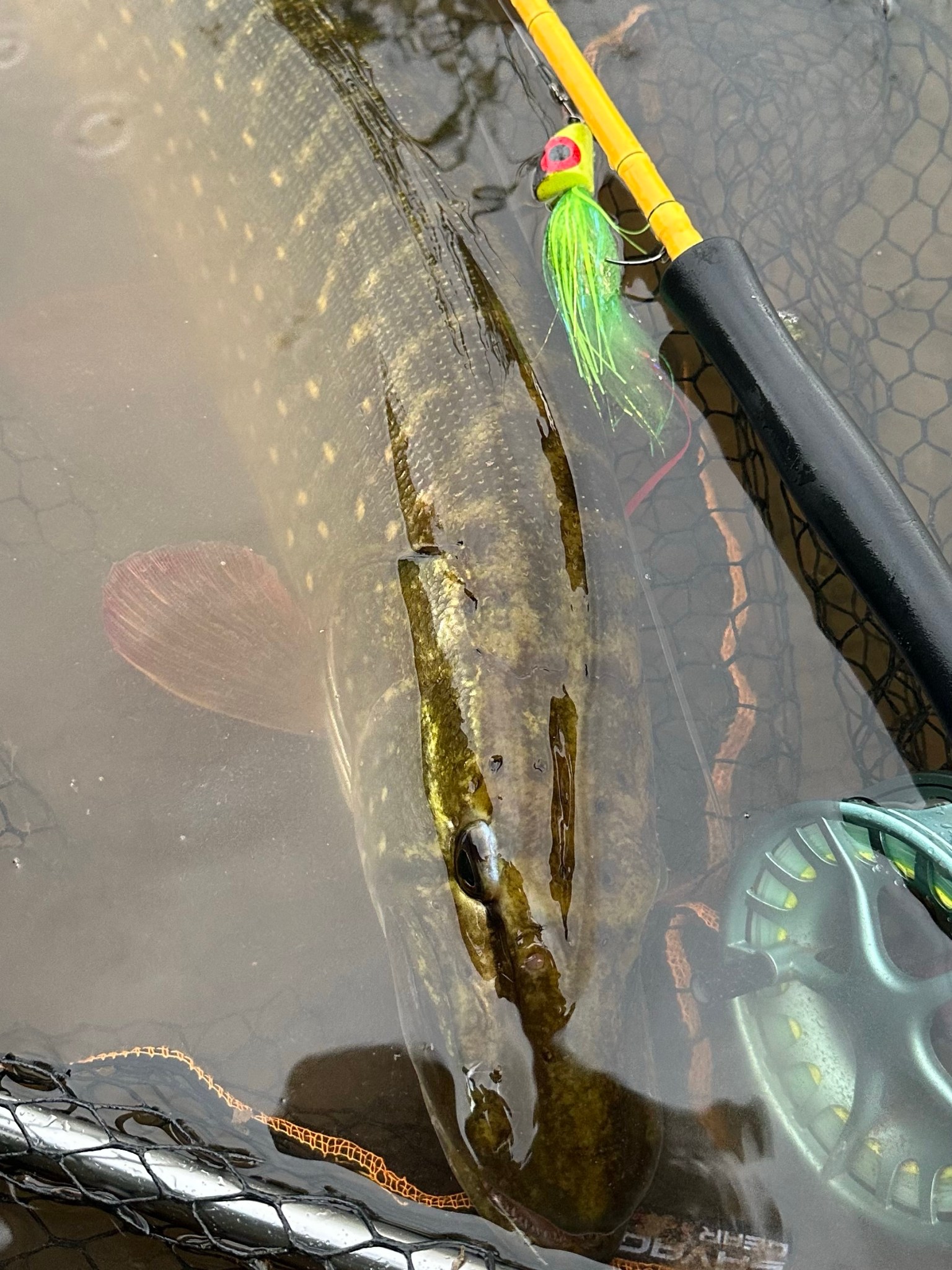 Fishing The Annan – Annan Guiding
