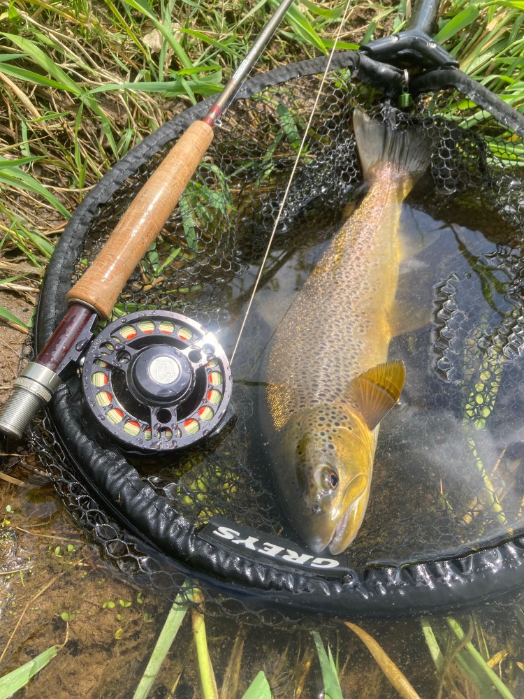 Fishing The Annan – Annan Guiding